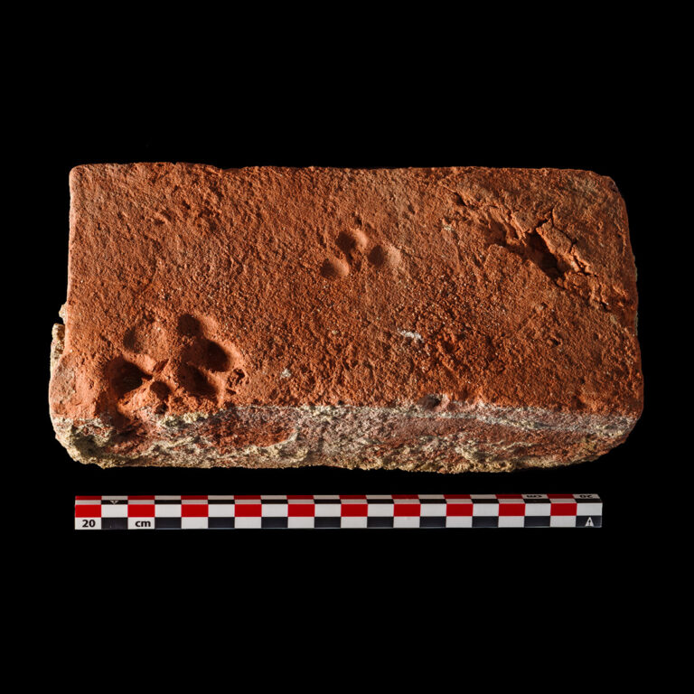 Printed Bricks | Historic Jamestowne