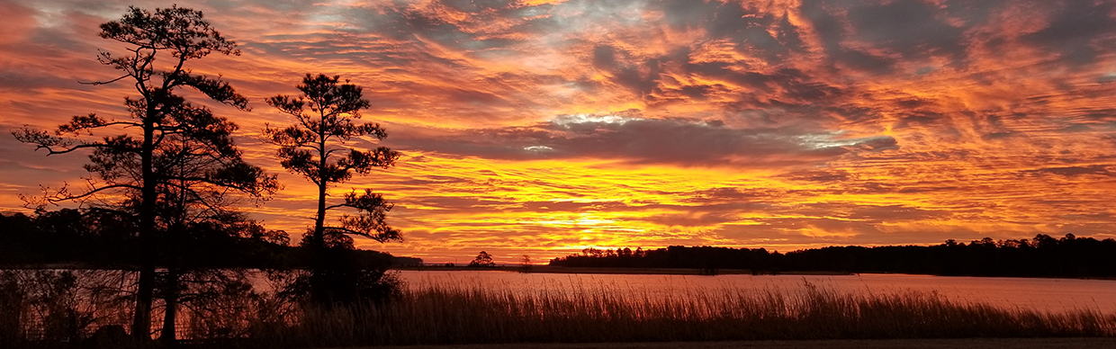Visit | Historic Jamestowne