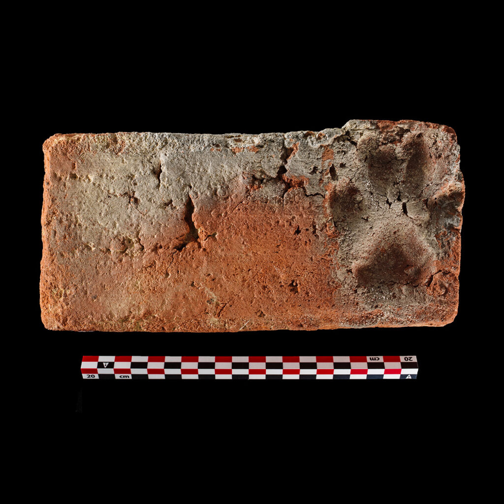 Printed Bricks | Historic Jamestowne