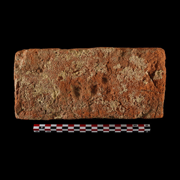 Printed Bricks | Historic Jamestowne