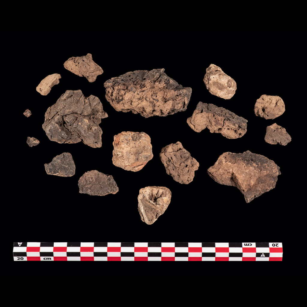 Daub | Historic Jamestowne