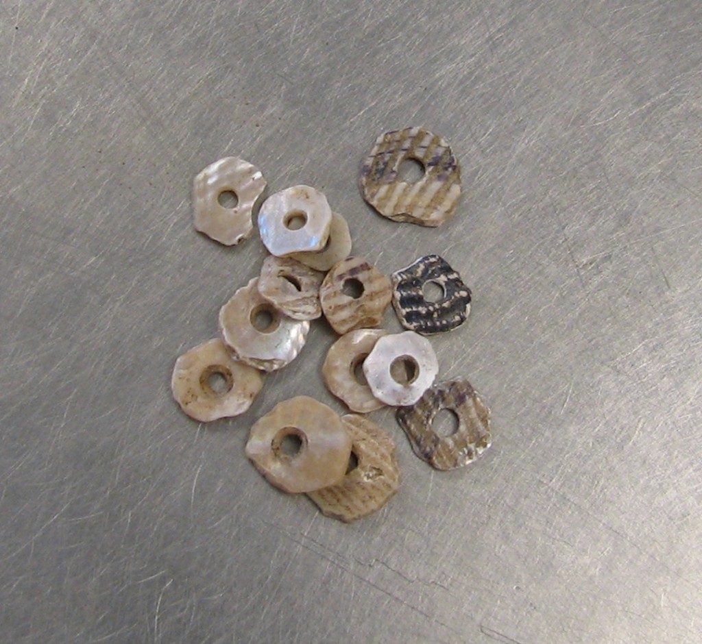 Virginia Indian beads made out of shells | Historic Jamestowne