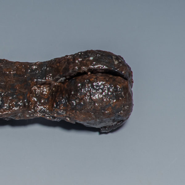 Bullet Mold | Historic Jamestowne