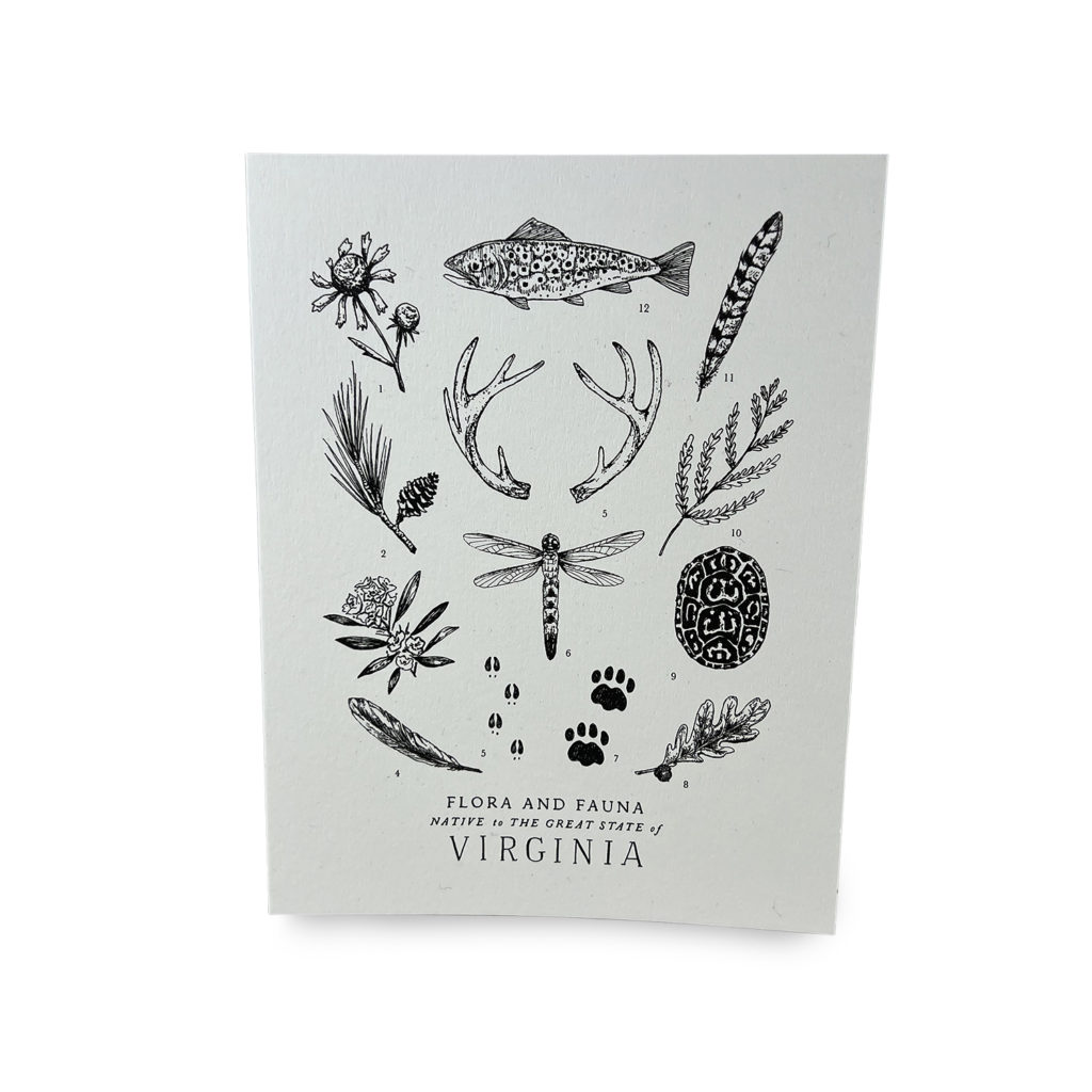 Virginia Field Guide Greeting Card | Historic Jamestowne